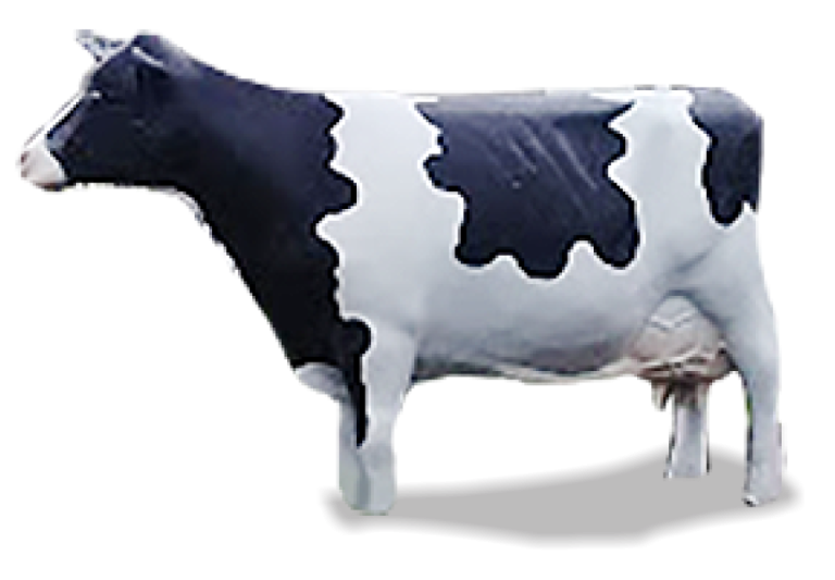 Tilly: The Toft Dairy Mascot | Toft's Dairy, Ohio's Oldest Dairy